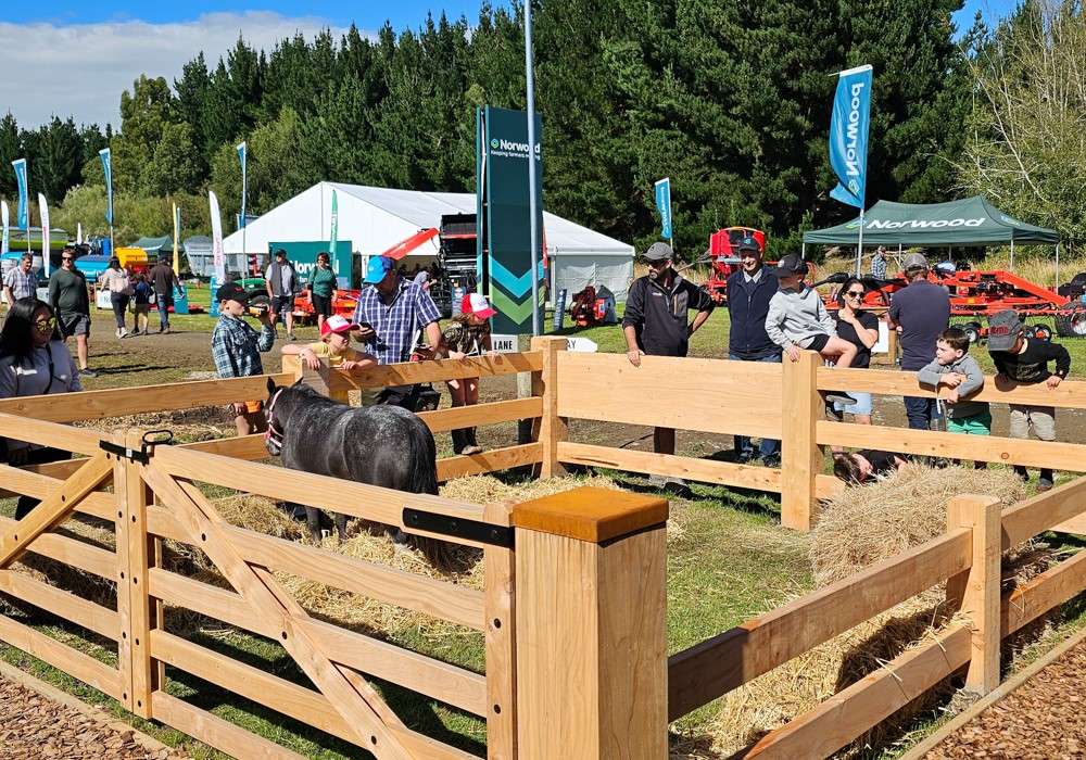 Post and Rail at Southern Field Days