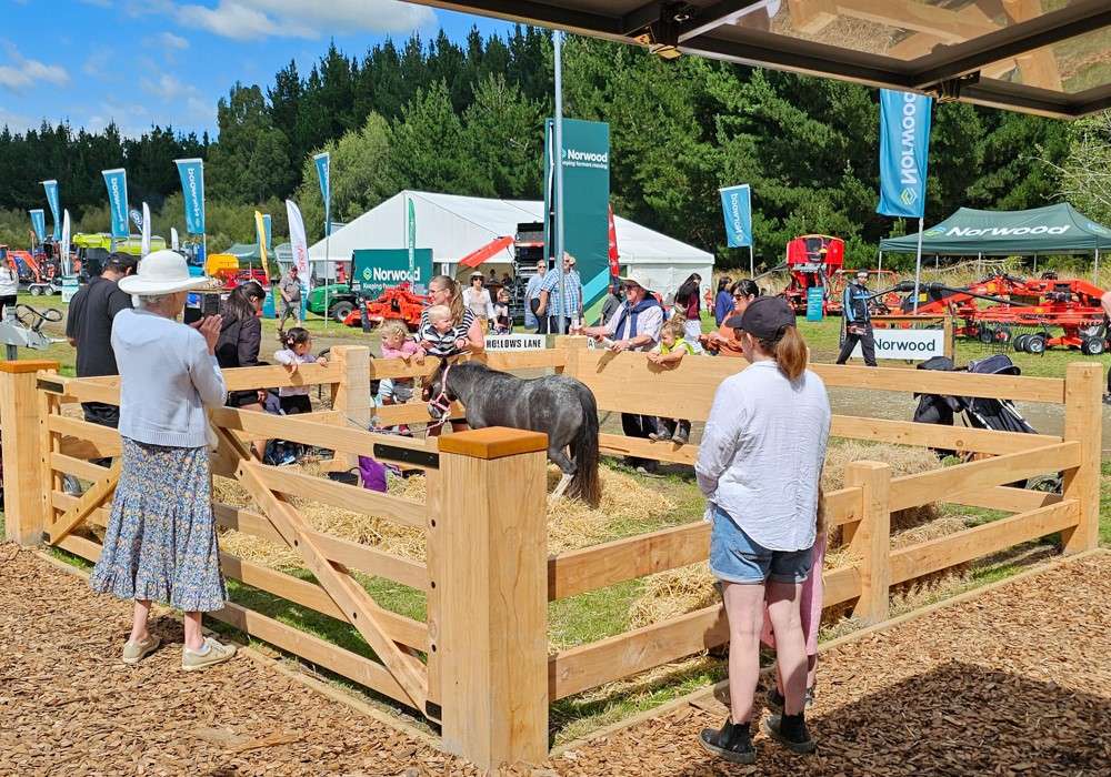 Post and Rail at Southern Field Days